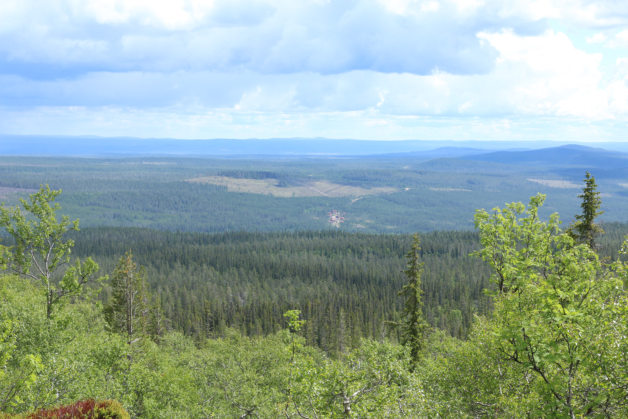 FULUFJÄLLET EN VACKER JUNIDAG - Gott för själen