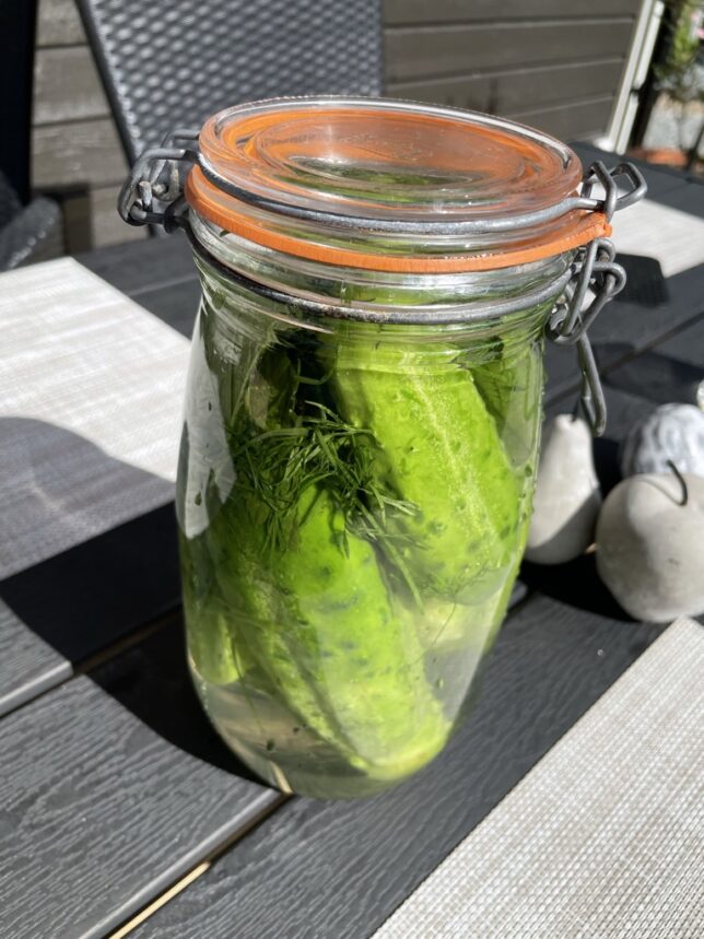 SNABBSALTAD GURKA - GOTT FÖR SJÄLENS RECEPT - Gott för själen